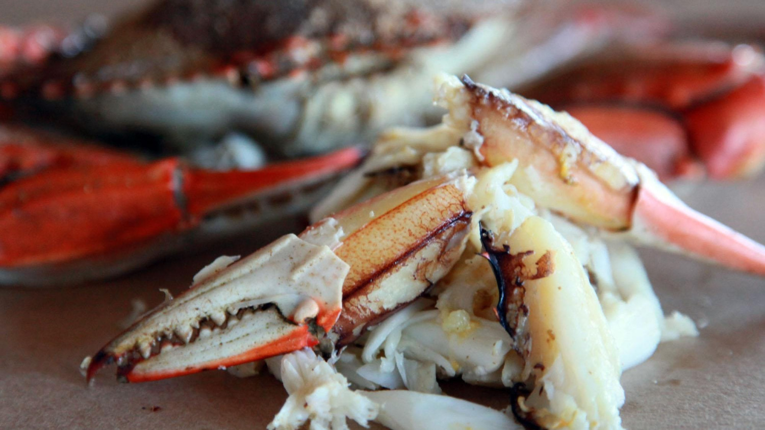 FROZEN SEA FOODS , CRAB LEG MEAT